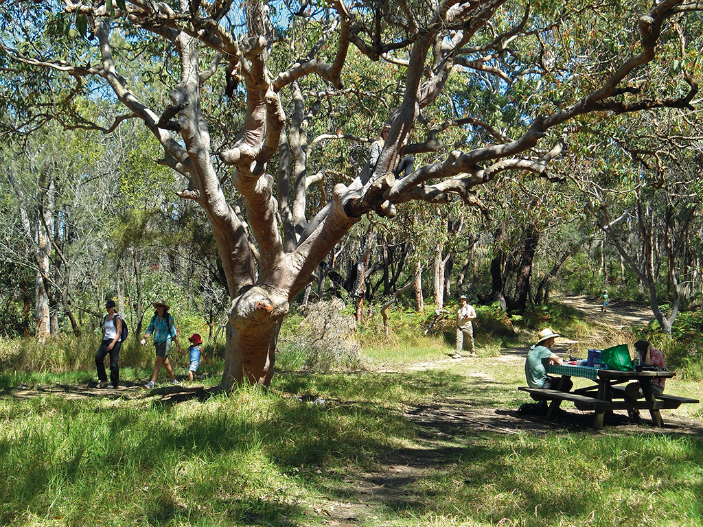Awabakal Nature Reserve : Hunter and Coastal Lifestyle