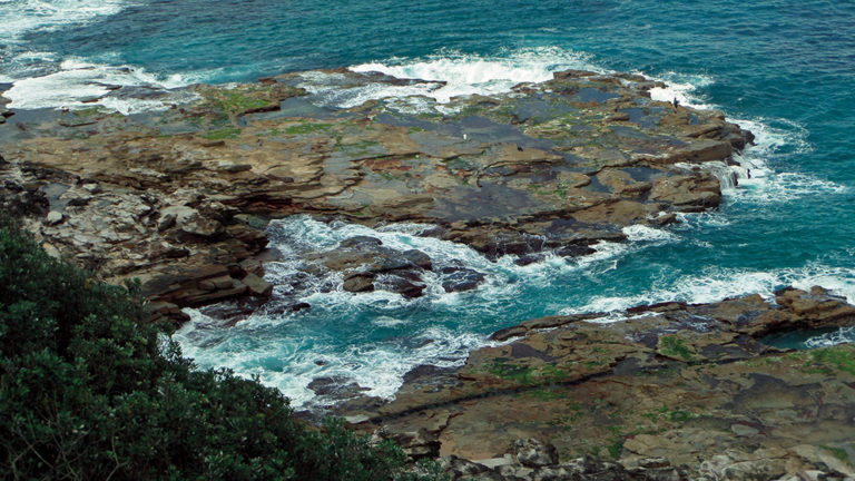 Awabakal Nature Reserve : Hunter and Coastal Lifestyle