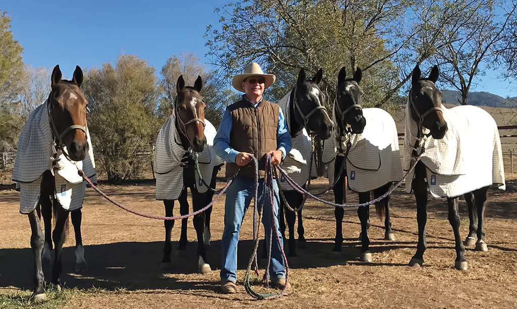 Of horses and men : Hunter and Coastal Lifestyle