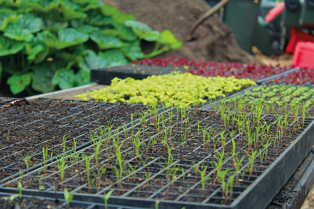 Feedback Organic Recovery : Hunter and Coastal Lifestyle Magazine